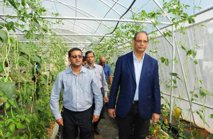 Model Organic Farm to promote safer and sustainable food production