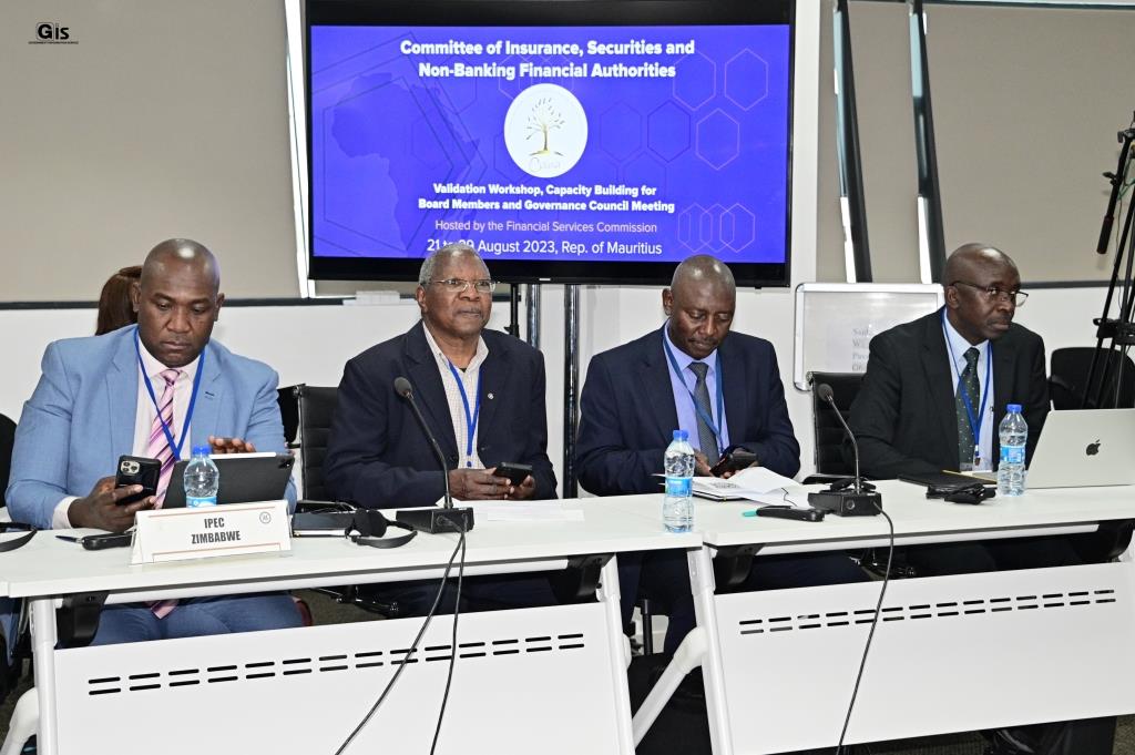 Capacity-Building Programme for SADC-CISNA Board Members and CEOs