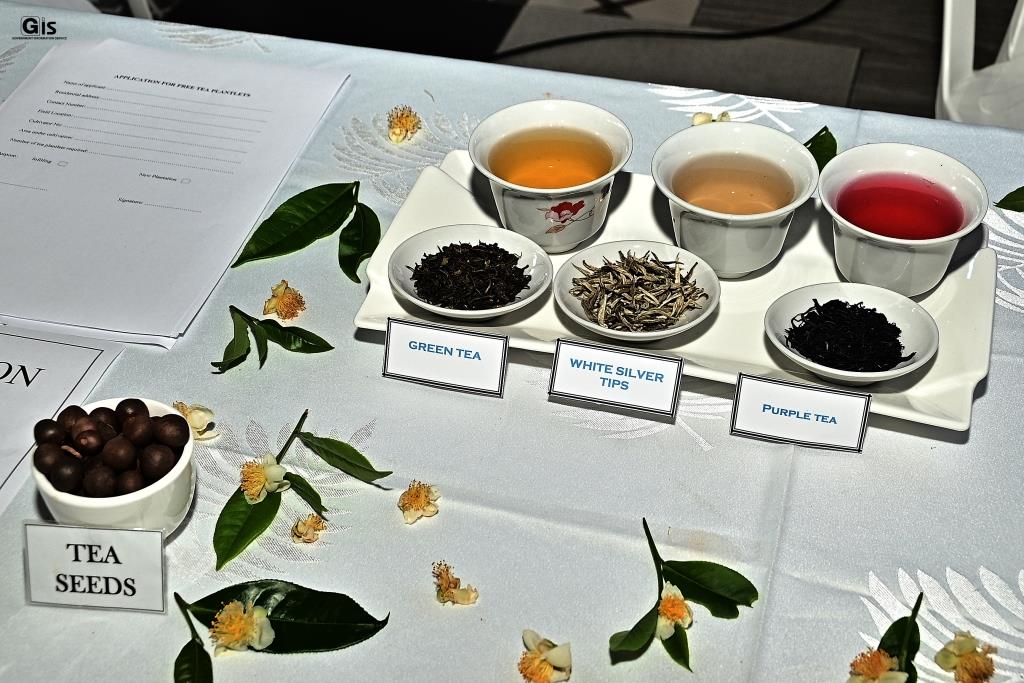 International Tea Day 2024: Exhibition held to raise public awareness ...