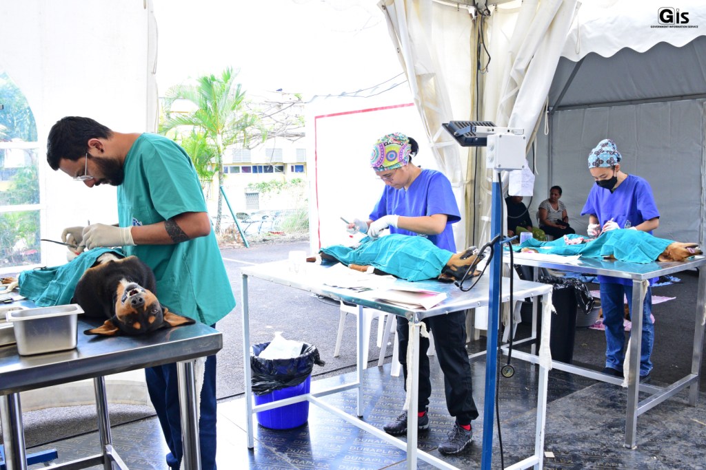 Series of activities organised by MSAW to mark World Animal Day